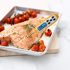 Taylor Thermometers 9848EFDA Digital Thermometer, Long-Stem, Dual-Scale