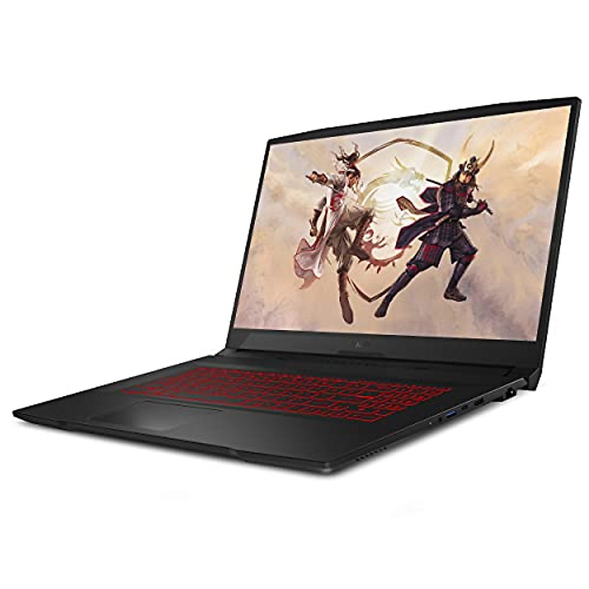 MSI GE68HX Raider 16" IPS FHD+ 144Hz Gaming Laptop Computer, 13th Gen Intel Core i9-13950HX, NVIDIA GeForce RTX 4060, 32GB DDR5 5600MHz RAM, 2TB NVMe SSD, RGB Backlite, Thunderbolt 4, Windows 11 Pro