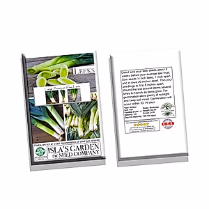 Large American Flag Leek Seeds for Planting, 500+ Heirloom Seeds Per Packet, (Isla's Garden Seeds), Non GMO Seeds, Botanical Name: Allium ampeloprasum, Great Home Garden Gift