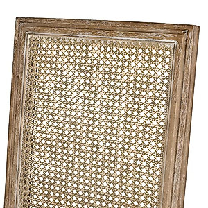 Christopher Knight Home Regina Dining Chair, Wood, Light Gray + Natural