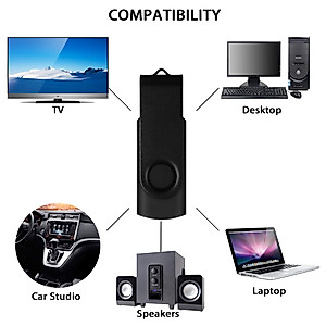 DataOcean 2 Pack 64GB USB 2.0 Flash Drive Memory Stick Thumb Drives Swivel Design(2 X 64GB: Black Silver)