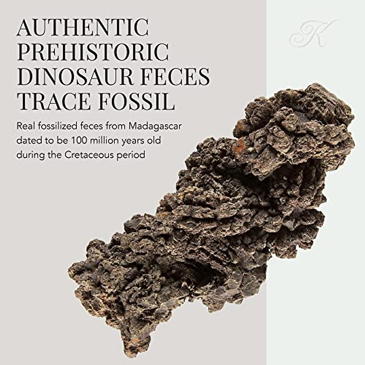 KALIFANO Authentic Prehistoric Dinosaur Coprolite Feces Trace Fossil - Fossilized Dinosaur Dung Poop Coprolite from Madagascar (Information Card Included)