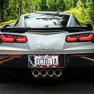 YETTASBIN Christmas Santa Claus License Plate Frames, Decorative License Plate Covers, 2 Packs Universal Aluminum Tag Frame with 2 Holes & Screw Caps for Front and Rear Car Tags, Elliptical Hole