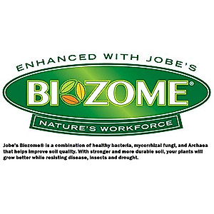 Jobe's 9726 Granular Plant Food Fast Start, 4 lbs