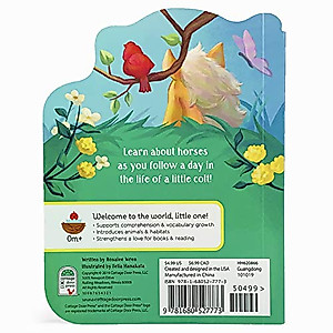 A Little Colt: A Baby Horse Board Book Story