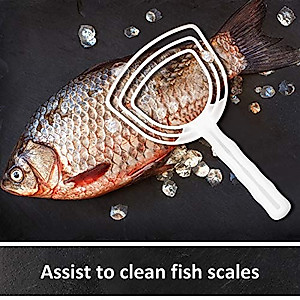 4 Pieces Meat Scraper Bone Dust Scraper Bone Scraper White Poly Scraper Bone Dust Remover Square Bone Dust Scraper Fish Scales Scraper for Kitchen Catering Kitchenware