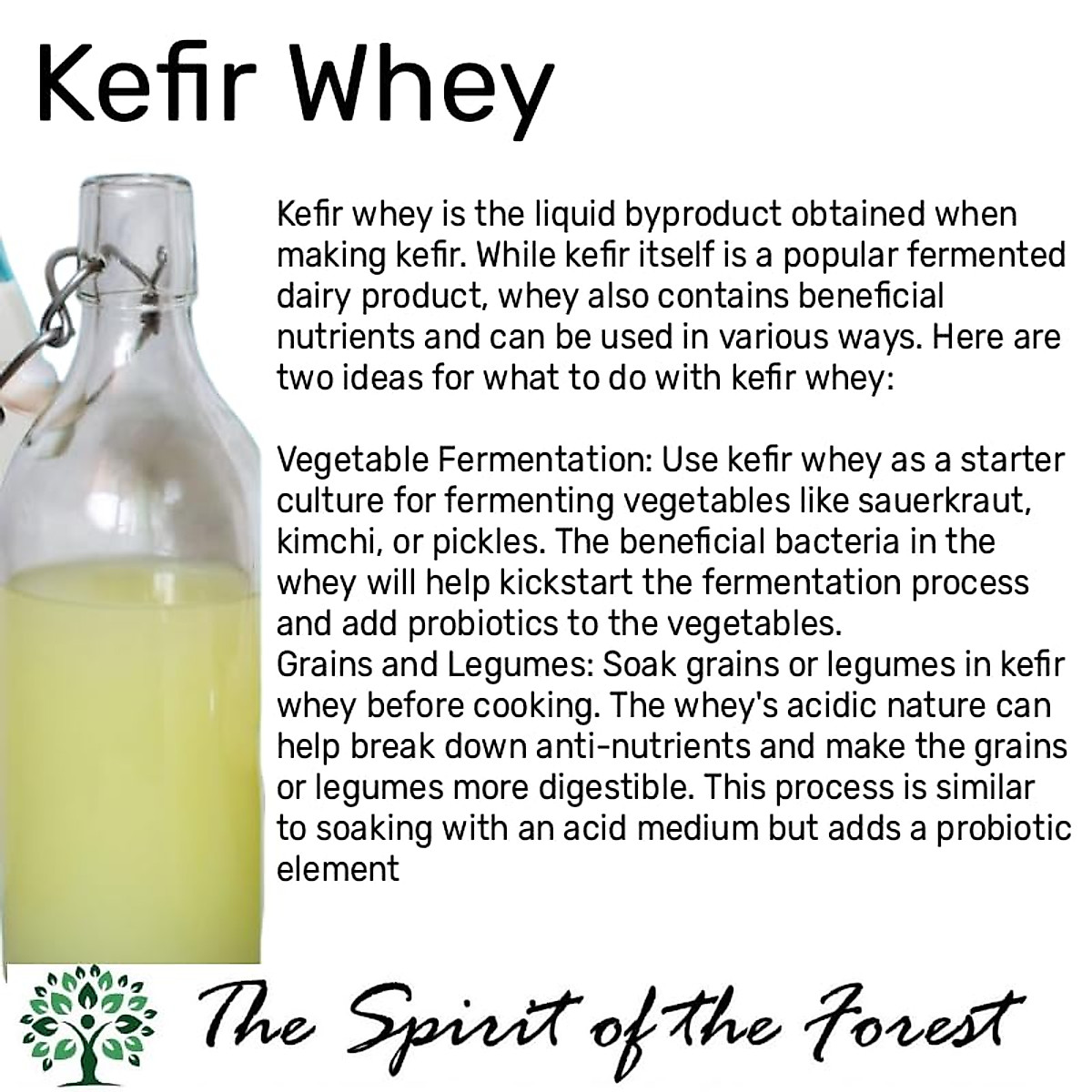Kefir, Kefir Grains, Scoby, Milk Kefir Grains, Live Starter, Cultures, Bulgaros de Leche, Bulgarian Milk Kefir Grains, Kefir Strainer, Works w/Whole Milk, Coconut Milk, Almond Milk, Oat Milk