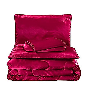 Sisher 5Pcs Silk Comforter Set Queen Bedding Set Red Satin Silky Soft Bed in A Bag Luxury Quilt Comforter&Sheets (1 Comforter, 2 Pillowcases, 1 Flat Sheet, 1 Fitted Sheet)
