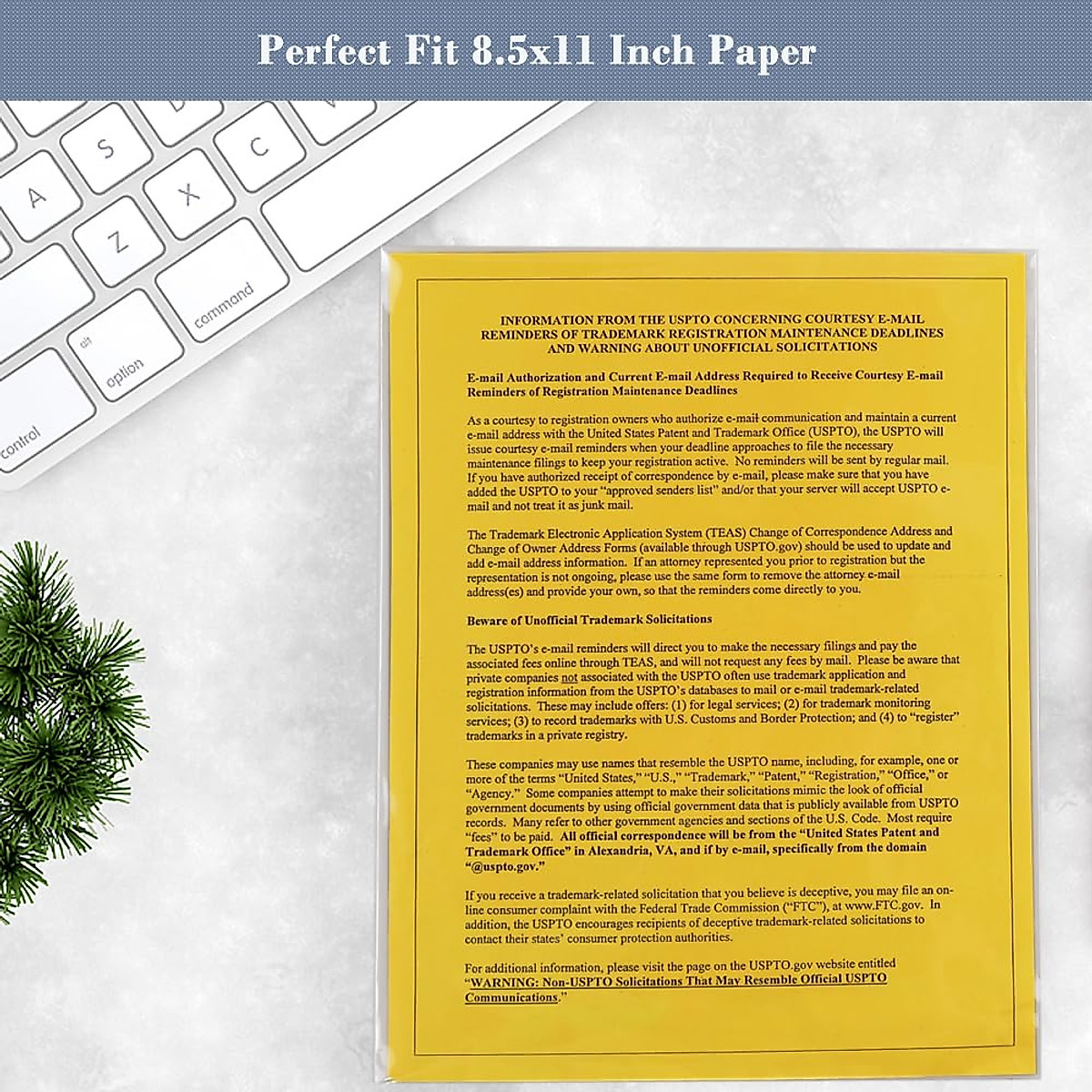 Miraclekoo 100Pcs 8-3/4 x 11-1/16 Inch Clear Self Sealing Cellophane Cello Bags Thick Plastic Sleeves - Fit 8.5x11 Inch Paper Photo Mats Envelopes Art Prints