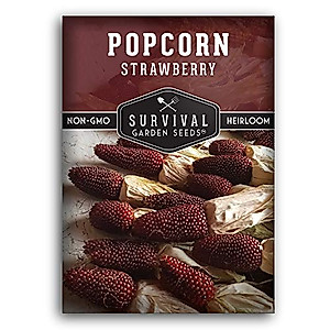 Survival Garden Seeds - Strawberry Popcorn Seed for Planting - Packet with Instructions to Plant and Grow Garnet Kernel Ornamental Popcorn in Your Home Vegetable Garden - Non-GMO Heirloom Variety