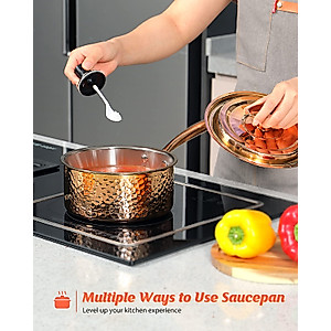 DAEDALUS 2 Quart Uncoated Nonstick Saucepan with Lid, Stainless Steel Pot Triply Hammered Copper for Cooking, Induction Saucepan Cookware for Home Kitchen Restaurant, Dishwasher Oven Safe - Gold