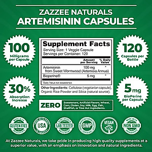 Zazzee High Absorption Artemisinin, 100 mg per Capsule, 120 Vegan Capsules, with 5 mg BioPerine for Maximum Absorption, Sweet Wormwood Extract, 4 Month Supply, All-Natural and Non-GMO