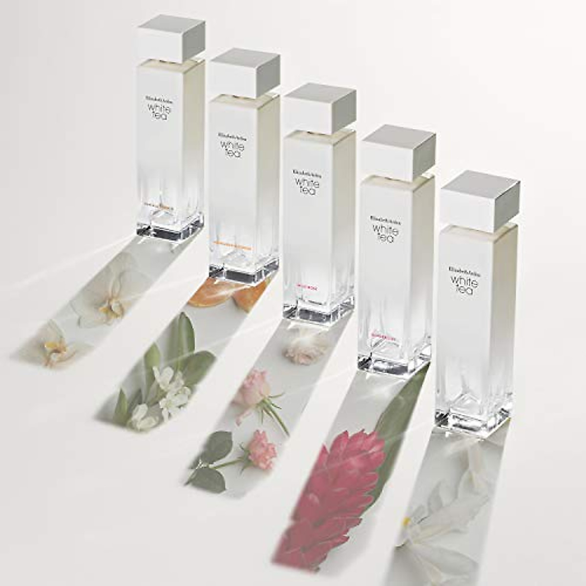 Elizabeth Arden White Tea Body Cream, Moisturizer for Dry Skin, Use Day or Night, Lightly Scented Fragrance, Softens and Moisturizes, Silky Smooth Finish, 13.54 oz