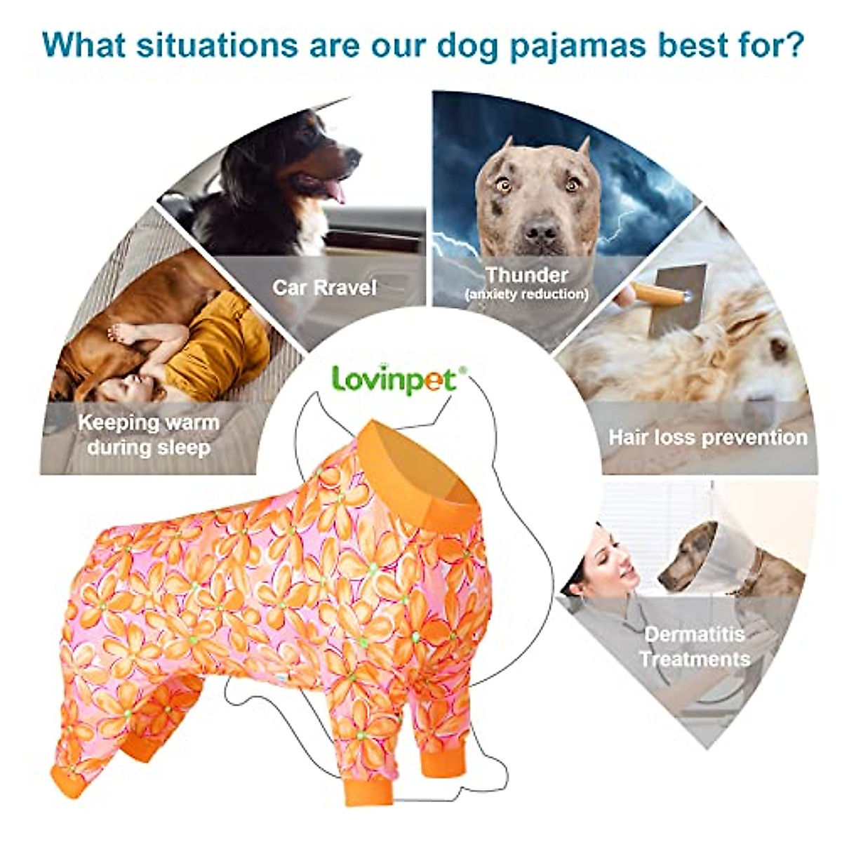 LovinPet Dog Clothes Large Breed - Anti Licking Shirt, Wound Care Post Surgery Dogs Pajamas, Lightweight Stretchy Skin-Friendly Fabric, Orange Daisy Print,Use for Travel, Parties, and Home,Orange M