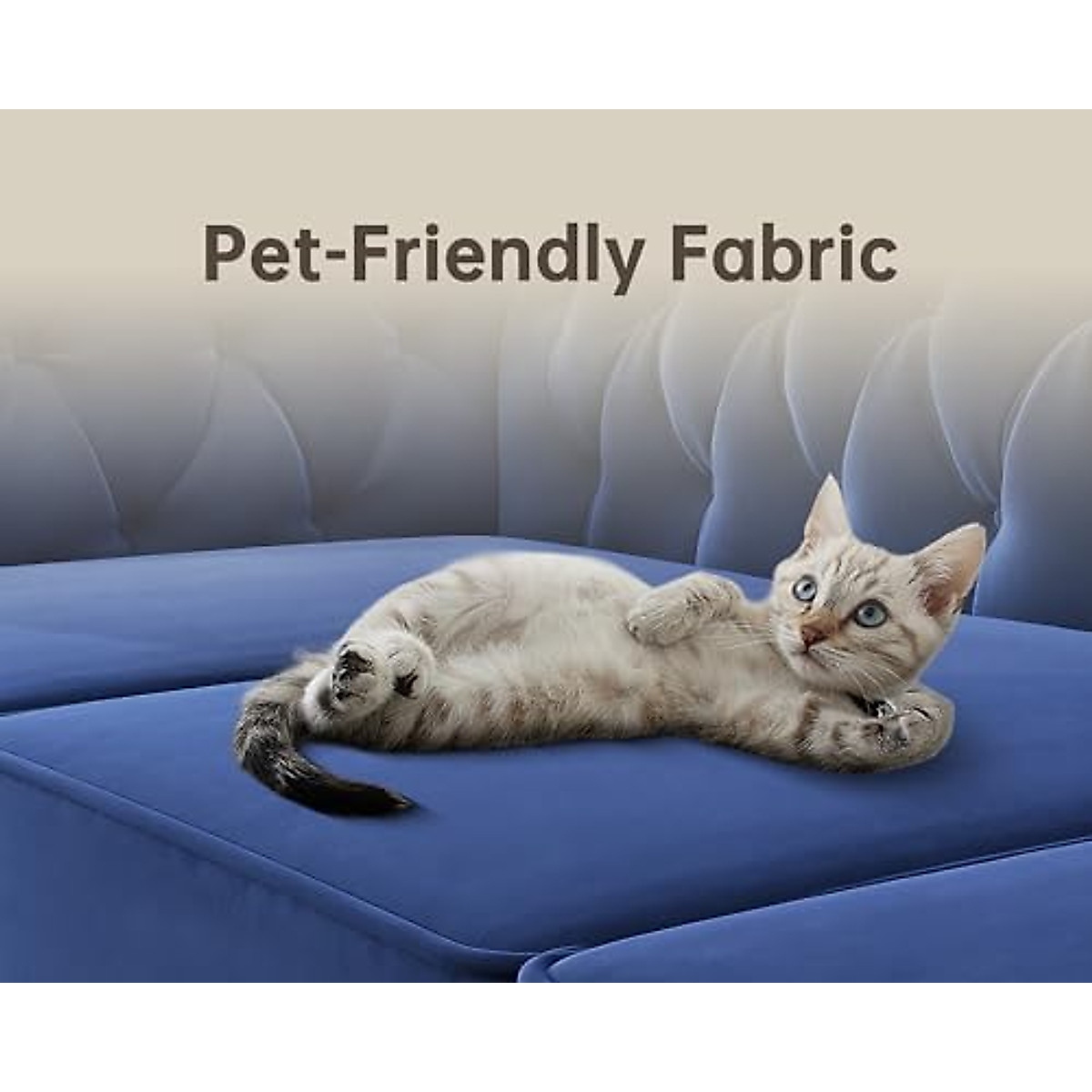 Morden Fort Classic Chesterfield Loveseat Set 60'', Tufted Loveseat Sofa Set with Solid Wood Legs Thick Cushion, Pet-Friendly 2-Seater Sofa Couch for Living Room Bedroom Apartment - Velvet Blue