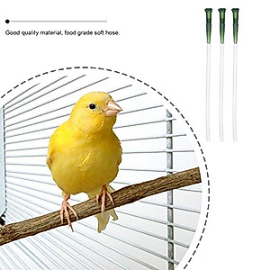 POPETPOP 3pcs Young Birds Feeding Syringe Plastic and Perspex Material for Feeding Milk for Young Birds or Feeding Medicine for Sick Birds