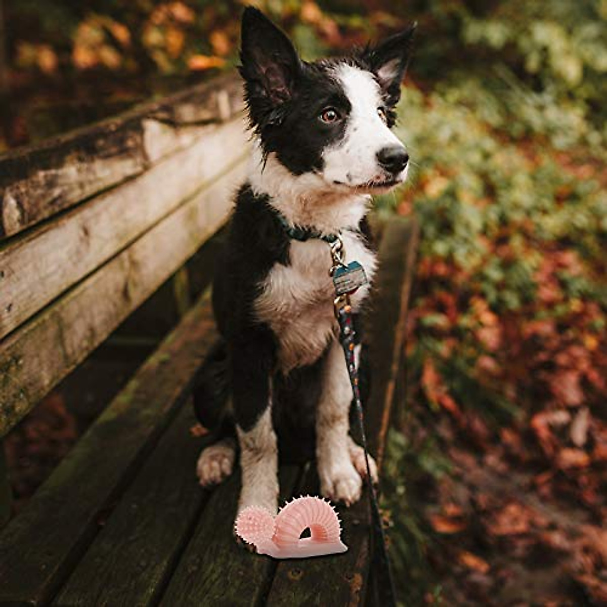 pet Teething Toys Dog Teeth Cleaning Toy Puzzle Toys Puppies Toys Dog Molar Toy Puppy Dog Toothbrush Toy Dog Dental Care Toy Dog Teeth Grinding Toy Missing Food TPR Indestructible