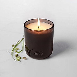 Sprig by Kohler Recharge Aromatherapy Candle with Bergamot and Lemongrass, 100% Natural Soy-Coconut Wax, Uplifting and Invigorating Scent, Gift for Holidays, 8 oz