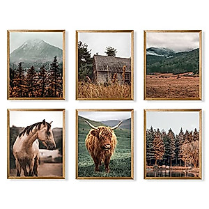 Highland Cow Pictures Wall Art - Farm House Animal - Boho Western Decor - Gift Cowboy Men Cowgirl - Set of 6 - Old West Ranch Room Decor - Country Horse Print - Fall Rustic Farmhouse Bathroom Poster