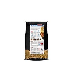 Purina | RepleniMash™ Product | Horse Mash (7 lb)