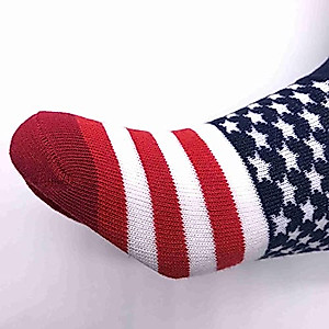 Funny Socks Let's Go Brandon socks Trump Socks FCK Biden Socks FJB Socks Gag gifts for Men Womens (FUCK DIDEN)