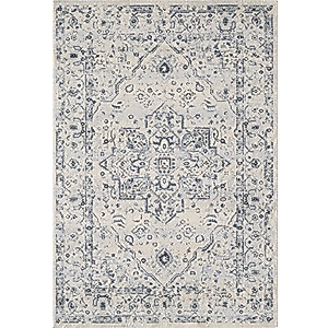 Abani Rugs 7'9" x 10'2" Grey & Blue Geometric Floral Motif Area Rug - Troy Collection Distressed Style Accent Rug