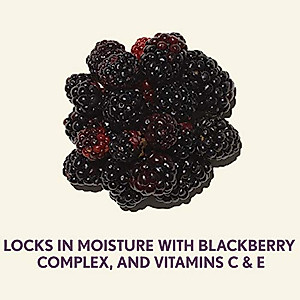 Aveeno Absolutely Ageless Anti-Wrinkle Facial Moisturizer with SPF 30 Sunscreen, Antioxidant-Rich Blackberry Complex, Vitamins C & E, Non-Comedogenic & Oil-Free Moisturizer, 1.7 fl. oz