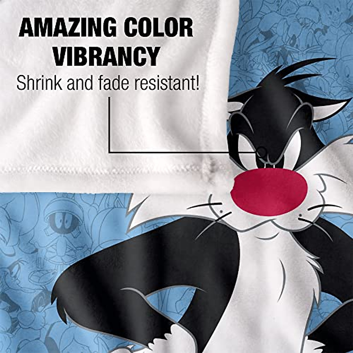 Looney Tunes Blanket, 50"x60", Sylvester Character Silky Touch Super Soft Throw