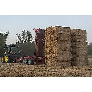 Blue Mountain Hay Organic Bedding Straw (3lb) Natural Animal Bedding Straw for Guinea Pigs, Chinchillas, Rabbits, Hamsters, Chickens, Feral Cats & Chicken Coops | Pet Bedding Straw | Pet Shelters