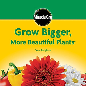 Miracle-Gro Water Soluble All Purpose Plant Food, Fertilizer for Indoor or Outdoor Flowers, Vegetables or Trees, 10 lbs.
