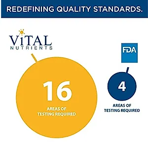 Vital Nutrients - MSM - Natural Form of Organic Sulfur - 240 Vegetarian Capsules per Bottle - 1000 mg