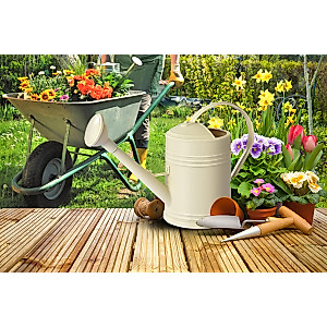 OKREK Watering Can Indoor Watering Cans for House Plants, Small Watering Can Indoor Plants, Plant Watering Can for Outdoor Plants Garden Flower (1/2 Gallon, Red)