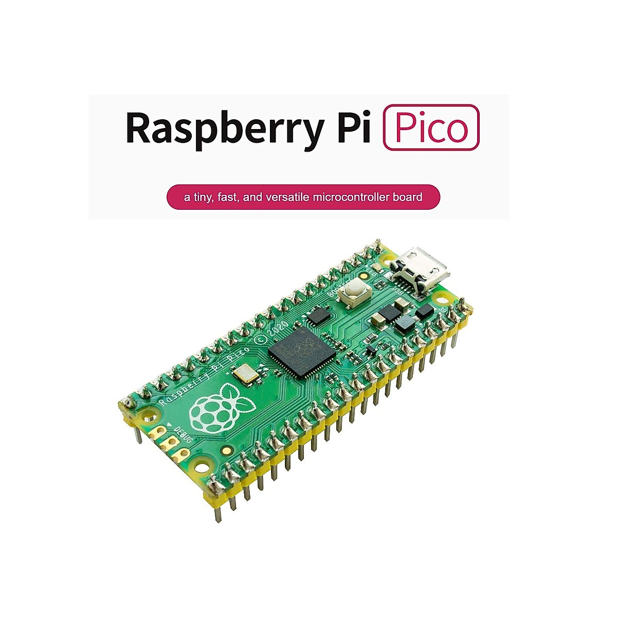 Ingcool Raspberry Pi Pico Starter Kit, Raspberry Pi Pico Microcontroller Board with Flexible Digital Interfaces,Based on RP2040 Microcontroller Chip,Low-Cost, High-Performance