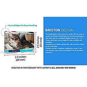 German Vocabulary Flash Cards - 75 Beginner Vocab with Pictures - Memory & Sight Words - Travel & Quick Reference - Educational Language Learning Game Play - Kids, Grade School, Classroom, Homeschool