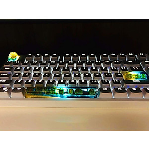 Handmade SA Profile 6.25u Spacebar Backlit Resin Keycap 2.25x Enter R1/ESC Translucent Keyset Hawaii Beach Switch for Cherry RGB MX Mechanical Gaming Keyboards (6.25u Spacebar(1 pcs))