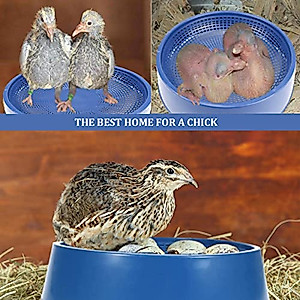 YOLUFER 5 Pcs Plastic Pigeon Nest Bird Nest Bowls Pigeon Nest Bowl Breeding Hatching Nest for Pigeons Quails Breeding Hatching (Blue)…