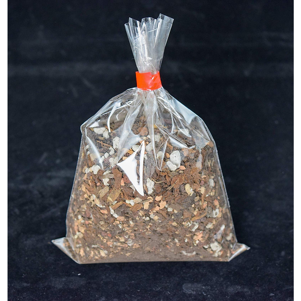 6" Oval Dark Blue Glazed Bonsai/Succulent Pot + Soil + Tray + Rock + Mesh Kit