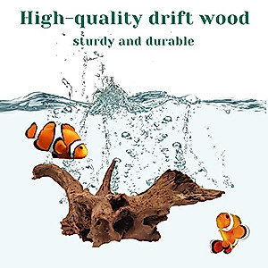 PINVNBY Natural Aquarium Driftwood Assorted Branches Reptile Ornament for Fish Tank Decoration Pack of 3