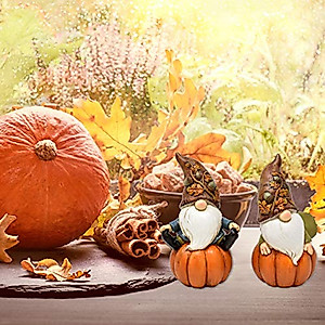 Thanksgiving Pumpkin Garden Gnome Figurines with White Beard Set of 2 for Home Garden Lawn Outdoor Fairy Statue Decoration Holiday Yard Decor