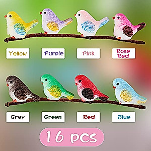 Miniature Bird Figurines Bird Decorative Figurines Dollhouse Simulation Bird Figures Toy Mini Bird Figures Cute Animal Model for Fairy Garden, Miniatures Moss Decoration, Micro Landscape (16 Pieces)