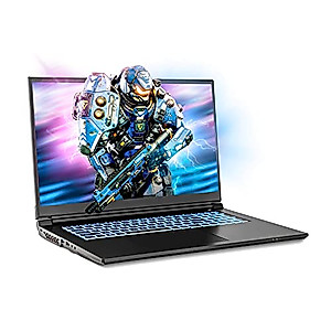 Sager 2023 NP7881E Gaming Laptop, 17.3 Inch FHD 144Hz 72% NTSC, Intel i9-13900HX, RTX 4070 8GB, 64GB RAM, 2TB Gen4 NVMe SSD, TBT 4, Win 11