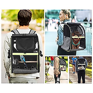 Pecute Bird Carrier Backpack, Parrots Bird Backpack with Visible Window, Adjustable Height Standing Perch, Feeding Cans, Waterproof Pads, Lightweight Foldable Birds Travel Cage for Hiking Camping