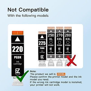 E-Z Ink (TM Compatible Ink Cartridge Replacement for Canon PGI220 PGI-220 CLI221 CLI-221 to use with MX870 MX860 MP620 MP560 MP980 (4 Large Black, 4 Cyan, 4 Magenta, 4 Yellow, 4 Small Black) 20 Pack