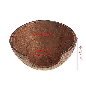 PINVNBY Natural Coconut Reptile Hideouts Lizard Coco Hut Hermit Crab Hut Aquarium Fish Hide Cave Spider Snail Climber Toys (2 Packs)