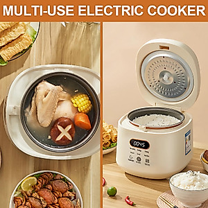 NUNET Electric Rice Cooker, Portable 6-1 Multi-Functional Smart Food Steamer Time Control 400W Mini Cooker 2QT 3 Cups Uncooked/5 Cups Cooked for Soup Grain Oatmeal w. Non-Stick Inner Pot