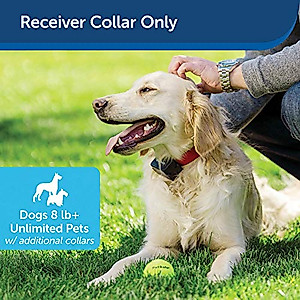 PetSafe Stubborn Dog Receiver Collar, In-Ground Fence Collar, Waterproof, with Tone, Vibration and Static Correction for dogs 8lb and Up - Not Compatible with YardMax and UltraSmart