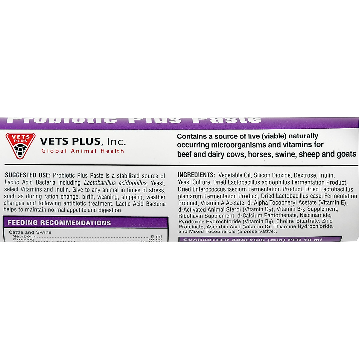 Probiotic Plus Paste 80 cc Tube