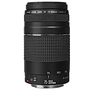 Canon EOS R10 Mirrorless Camera w/RF-S 18-45mm f/4.5-6.3 is STM + EF 75-300mm f/4-5.6 III Lens + 500mm f/8 Focus Lens + 2X 64GB Memory + Case + Microphone + LED Video Light + More (35pc Bundle)