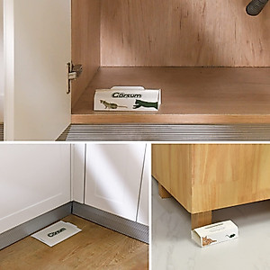 Garsum 10 Pack Mouse Glue Trap, Peanut Butter Scent Sticky Traps, Heavy Duty Pest Board Insect Spider Mice, Extra Strength Trampas para Ratones Indoor for Home