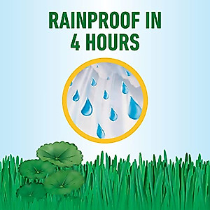 Roundup for Lawns₄ Ready-To-Use (Southern) - All-in-One Weed Killer for Lawns, Extended Reach Wand, 1 gal.